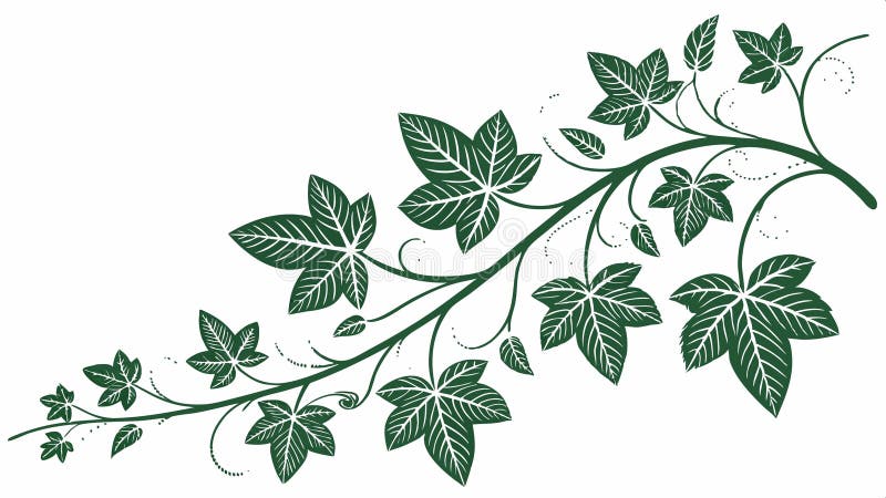 Ivy Leaves Border Design Element for Botanical and Natural Decoration ...