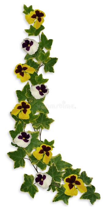 Pansies Border Stock Illustrations – 750 Pansies Border Stock ...