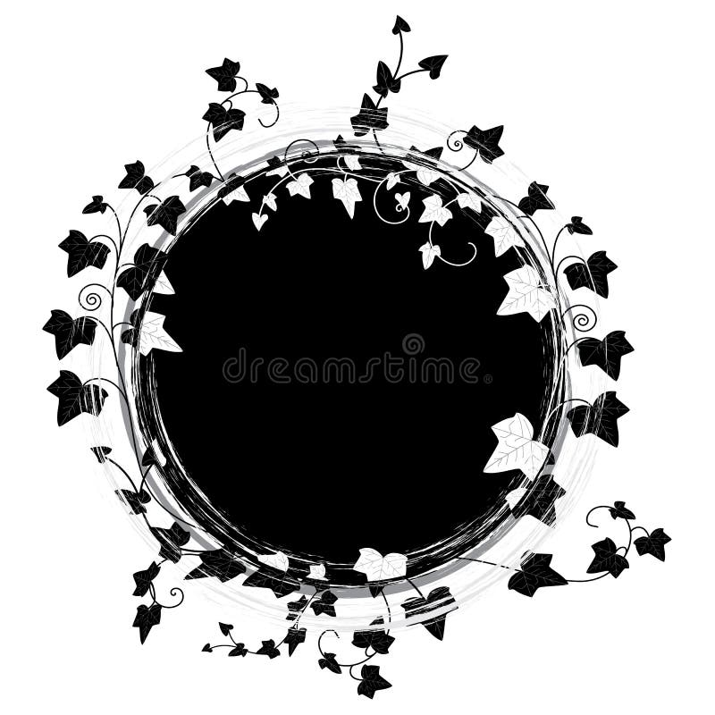 Ivy round frame stock vector. Illustration of edera, white - 65221109