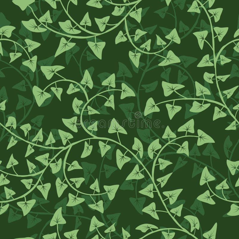 Ivy - seamless pattern stock vector. Illustration of garden - 14988388