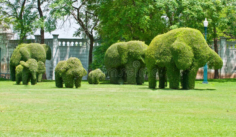 Ivy in the Shape of Elephants Stock Photo - Image of animals, lush ...