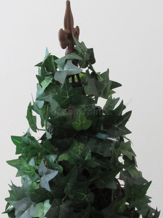 Ivy topiary stock image. Image of sculpture, topper - 250105765