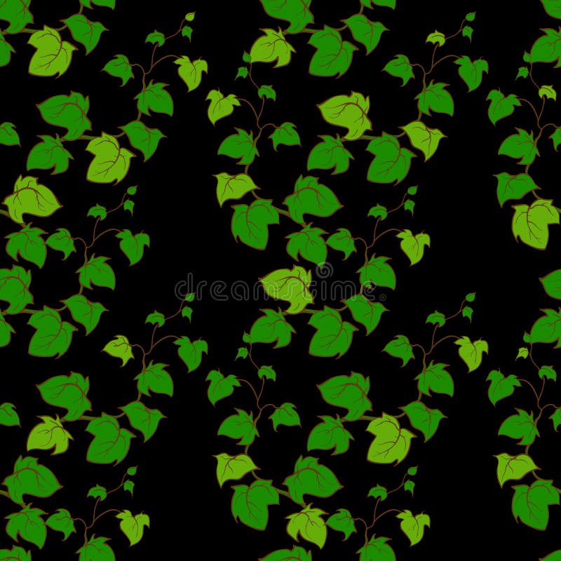 Ivy Vector Hand Drawn Seamless Pattern Stock Vector - Illustration of ...
