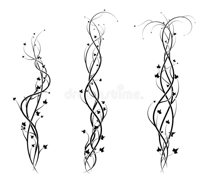 Ivy Divider Line Stock Illustrations – 42 Ivy Divider Line Stock ...
