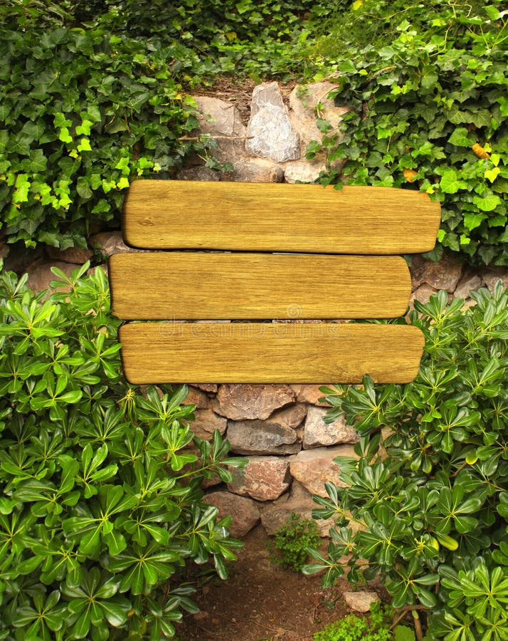 Ivy and Wooden Sign on Ancient Wall Stock Photo - Image of nature ...