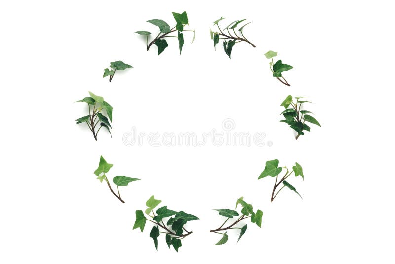 Ivy Circle Stock Illustrations – 1,418 Ivy Circle Stock Illustrations ...