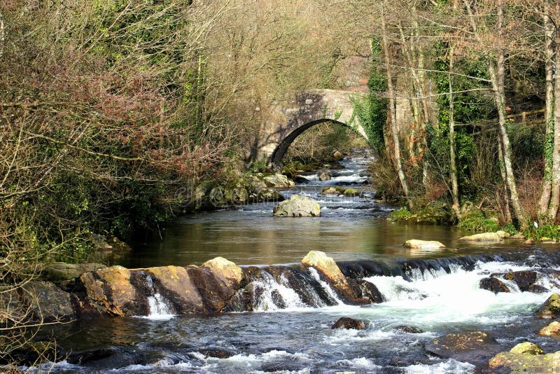 The Ivybridge stock photo. Image of torrent, trunks, bridge - 2088910