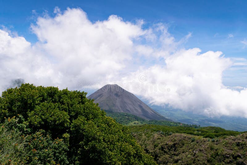 Izalco Volcano Surrounded by Dense Forest and Cloudy Sky Stock Image ...