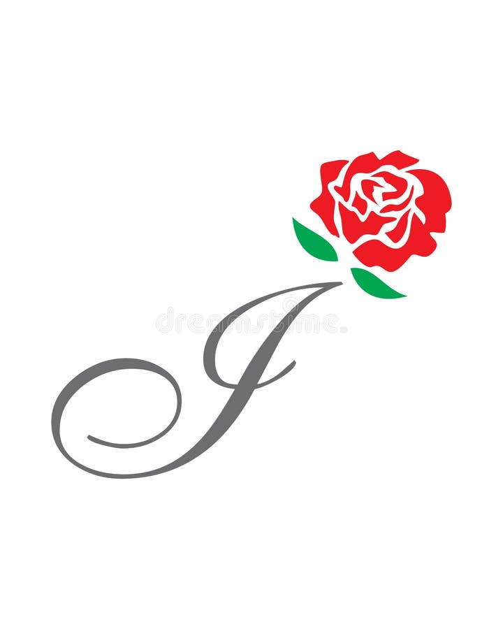 O Rose stock vector. Illustration of illustrations, green - 79634366