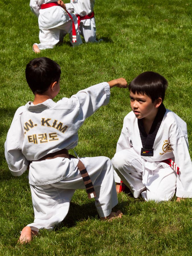 Tae Kwon Do editorial photography. Image of green, exercise - 284048247