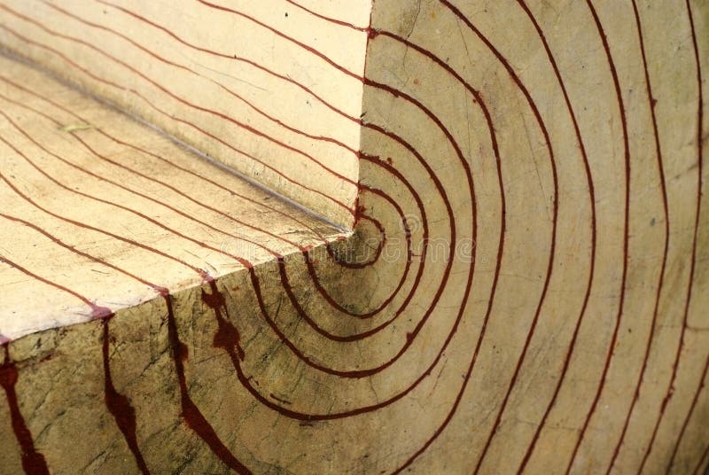 Jaarring stock afbeelding. Image of samenvatting, tekening - 17194007