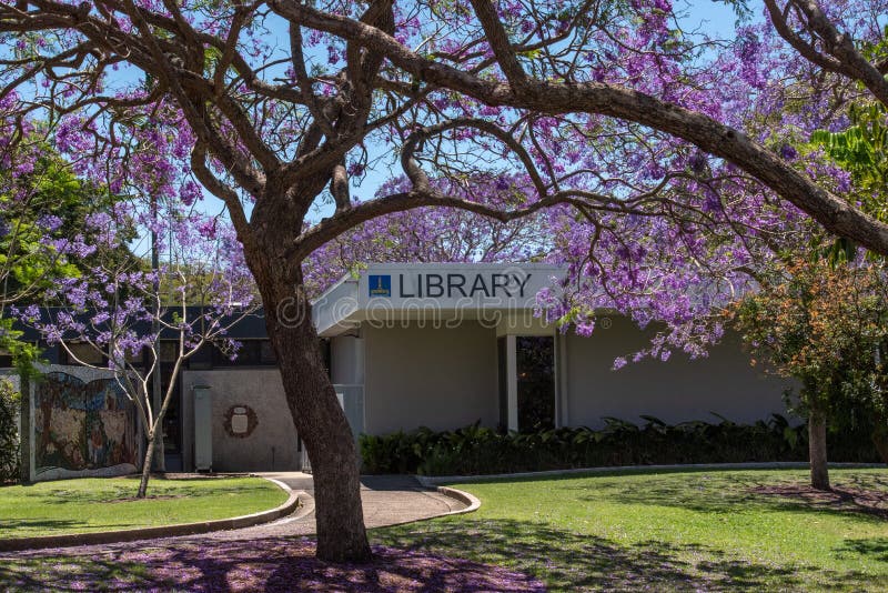 Jacaranda Blooming in Front of a Library in Spring. Editorial ...