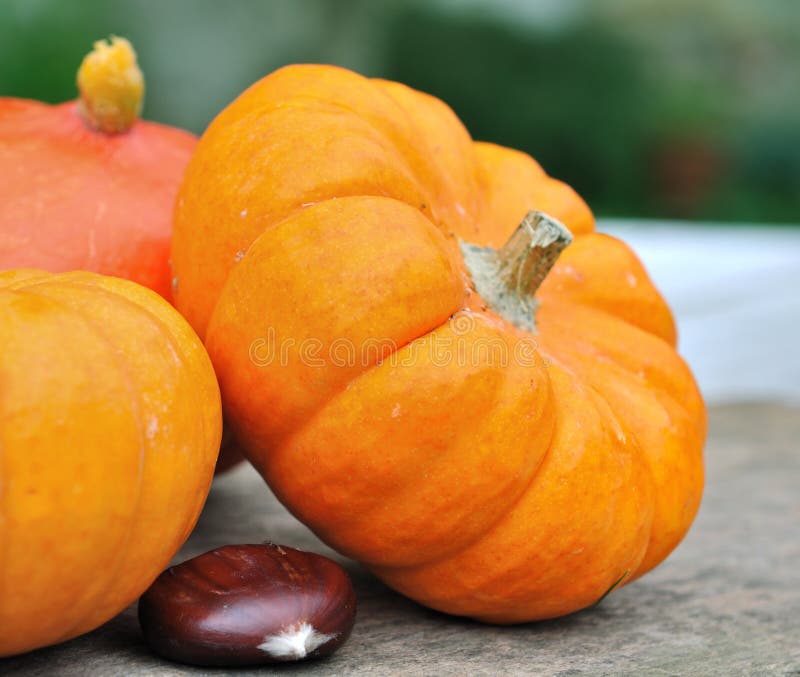 Jack be little stock image. Image of food, colorful, little - 60574767