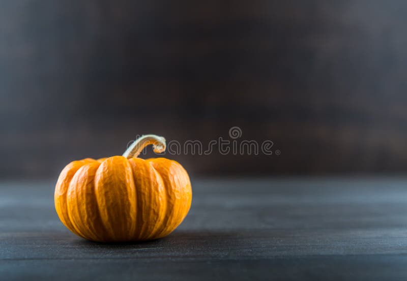 Jack Be Little Pumpkin on Left Stock Photo - Image of orange, fresh ...