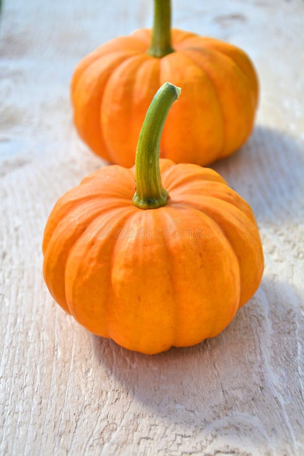 Wee Be Little Pumpkin Stock Photos - Free & Royalty-Free Stock Photos ...
