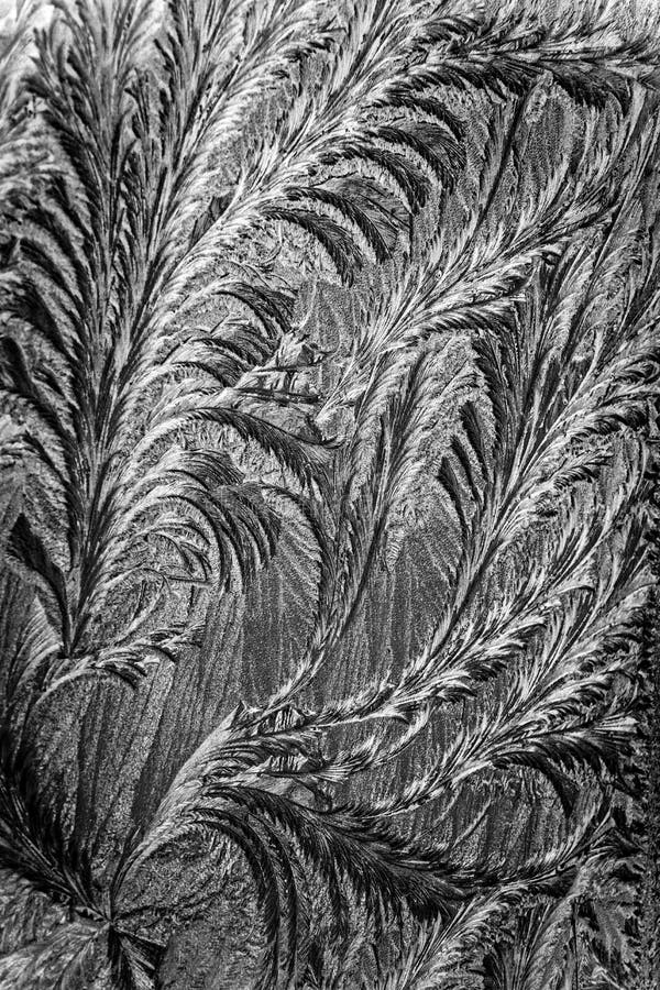 Jack Frost Etching Beautiful Pattern, Converted To Look Like a Pencil ...