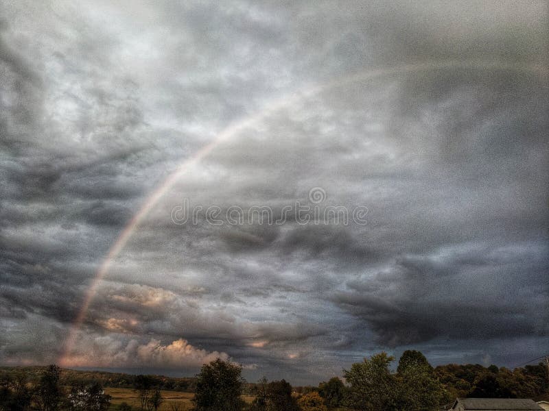 Ohio county side stock photo. Image of petal, field - 208804224