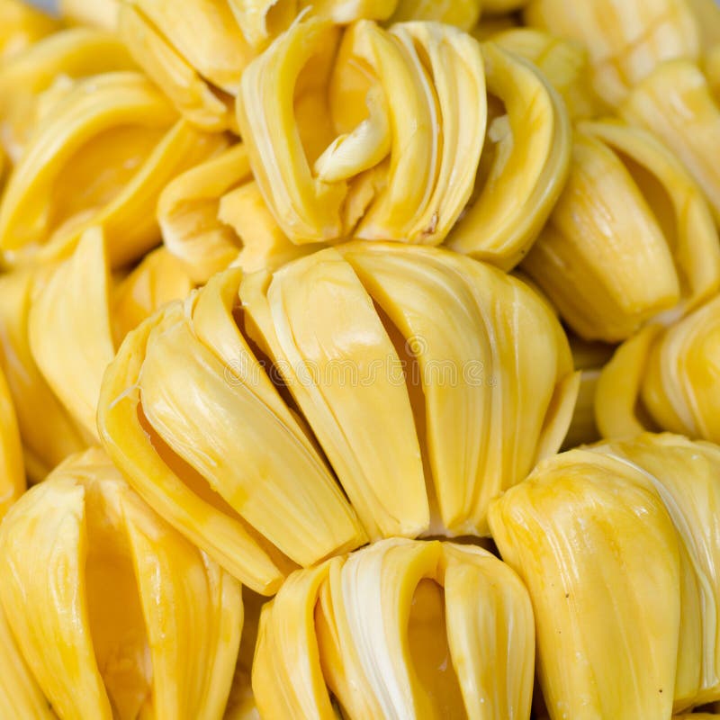 Jack-Frucht reif stockbild. Bild von gesund, saftig, tropisch - 39755731