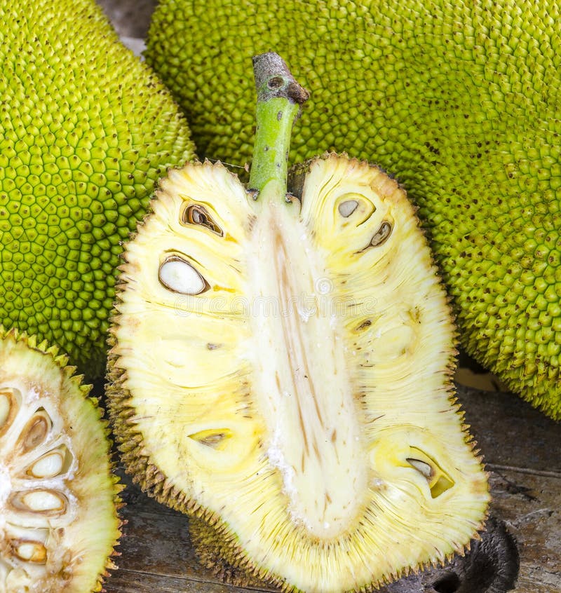 Jack-fruit. stock photo. Image of closeup, brazil, exotic - 64366182