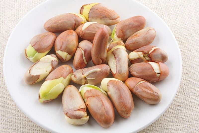 Jack fruit seeds stock photo. Image of delicious, natural - 39148980