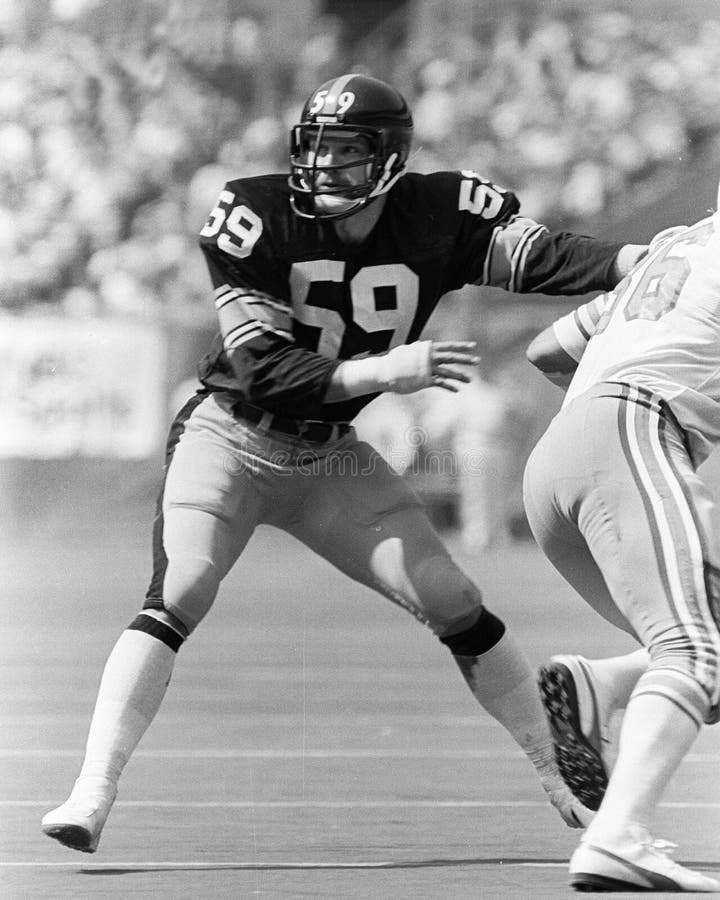 Jack Ham fotografía editorial. Imagen de imagen, gato - 74891487