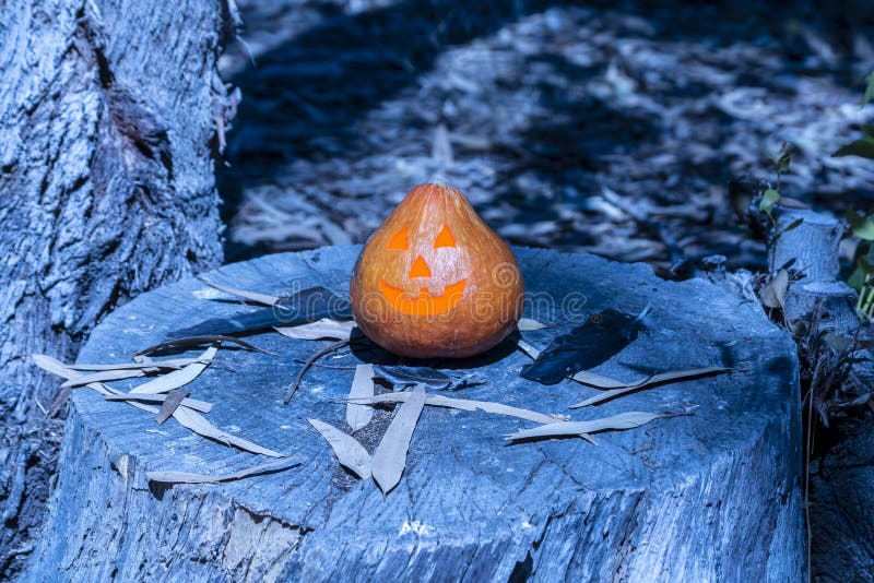 Jack O`Lantern on Tree Stump Stock Image - Image of decoration, jack ...