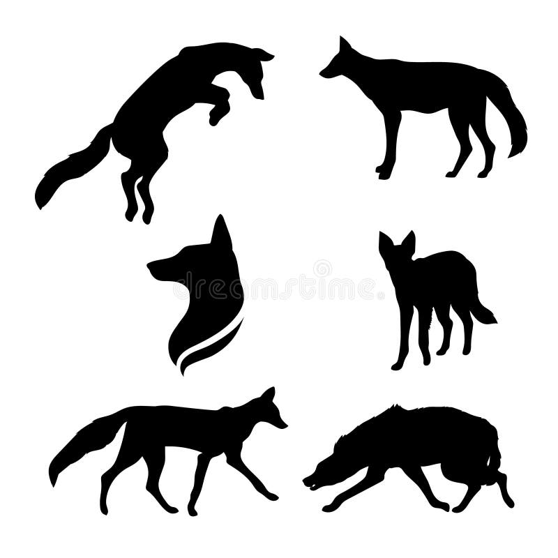 Jackal Stock Illustrations – 2,526 Jackal Stock Illustrations, Vectors ...