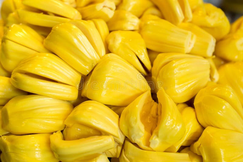 Jackfruit stock image. Image of nature, eating, jackfruit - 49659613