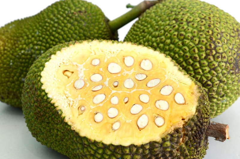 Jackfruit stock image. Image of leaves, background, healthy - 220914187