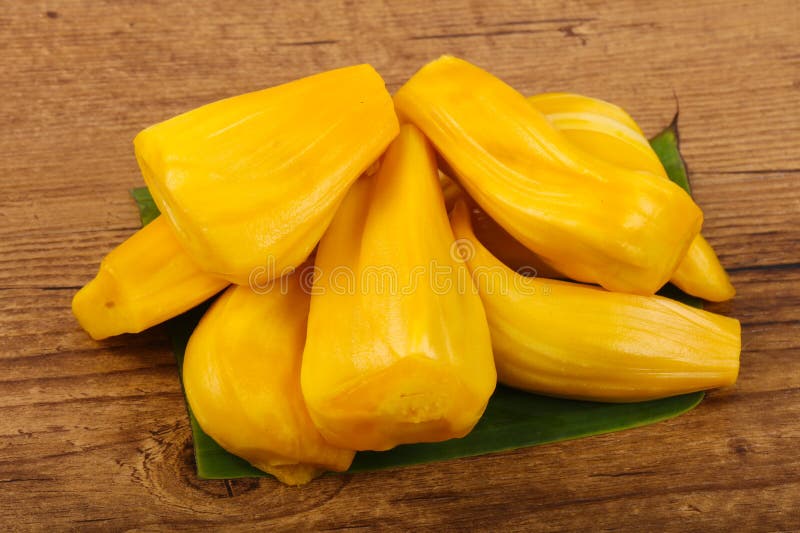 Jackfruit stock image. Image of background, heterophyllus - 81237211