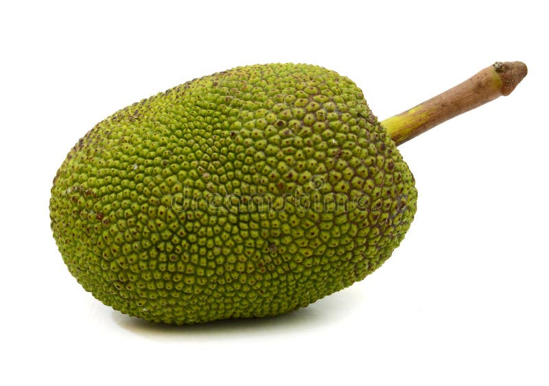 Jackfruit stock photo. Image of abstract, healthy, farm - 219642062