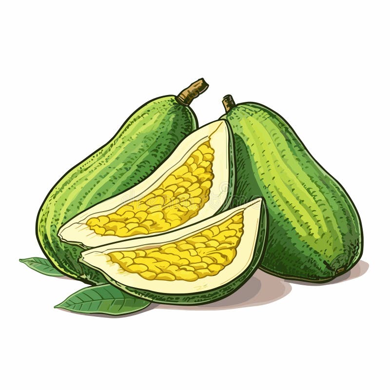 Jackfruit Hand-drawn Illustration. Jackfruit. Vector Doodle Style ...