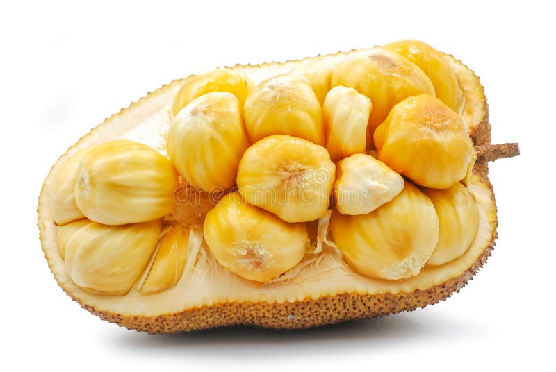 Jackfruit Isolated Cut Out on White Background Stock Photo - Image of ...