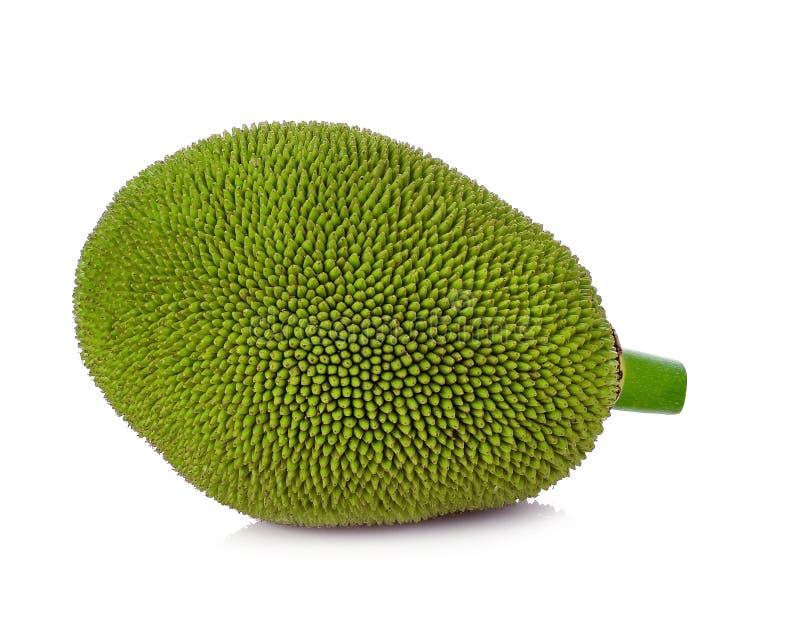 Jackfruit Isolated on White Background Stock Photo - Image of crops ...