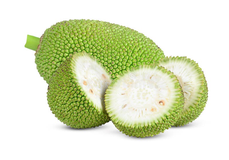 Jackfruit Isolated on White Background Stock Image - Image of growing ...