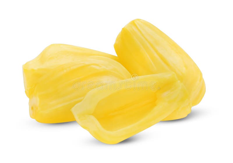 Jackfruit Isolated on White Background Stock Photo - Image of crops ...