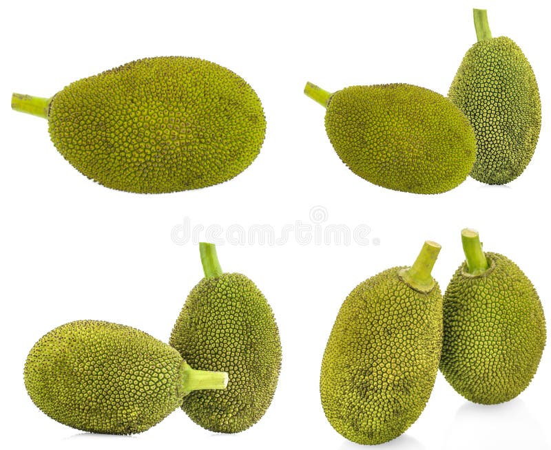 Jackfruit Isolated on White Background Stock Photo - Image of kanun ...