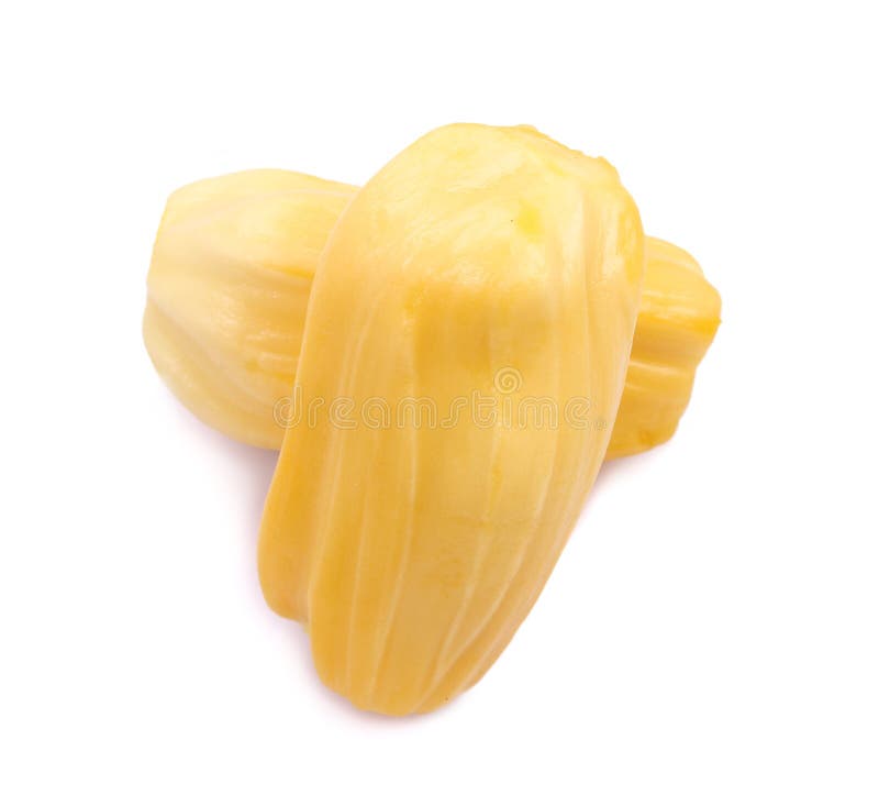 Jackfruit isolated stock image. Image of asian, jackfruit - 70002661