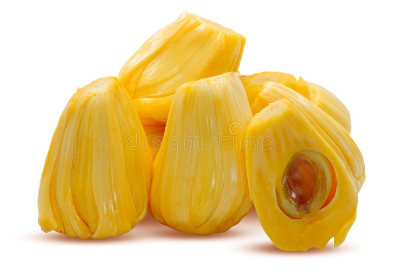 Fresh Jackfruit Isolated on White Background Stock Image - Image of ...