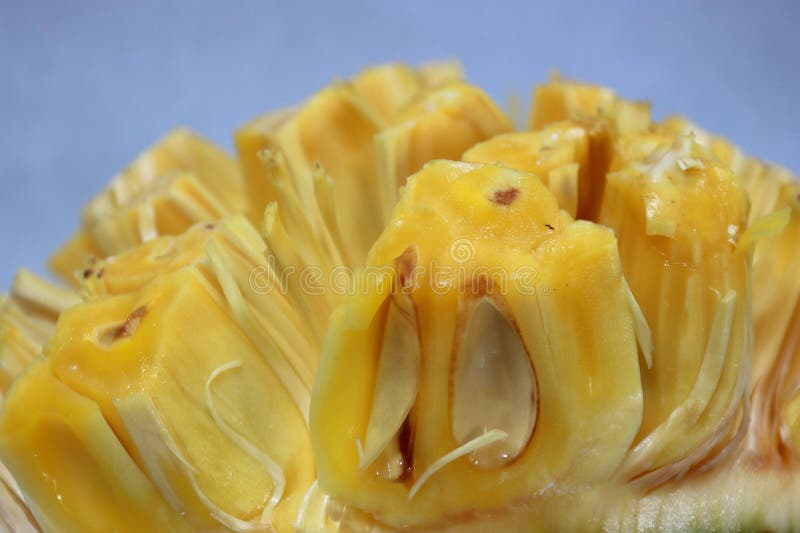 Jackfruit with Isolated on White Background Stock Image - Image of ...