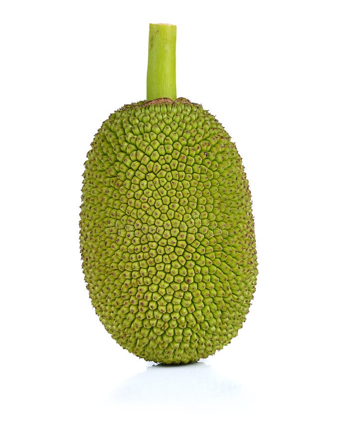 6,953 Jackfruit Tree Photos - Free & Royalty-Free Stock Photos from ...
