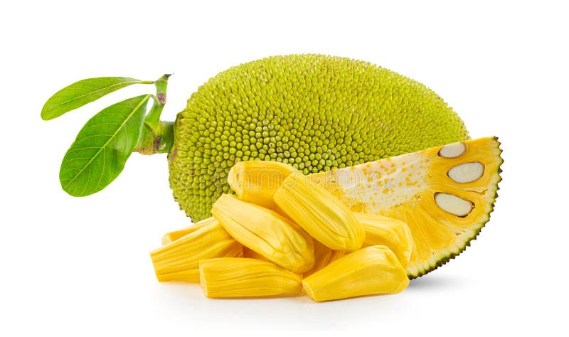 Jackfruit with Isolated on White Stock Image - Image of slice, isolated ...