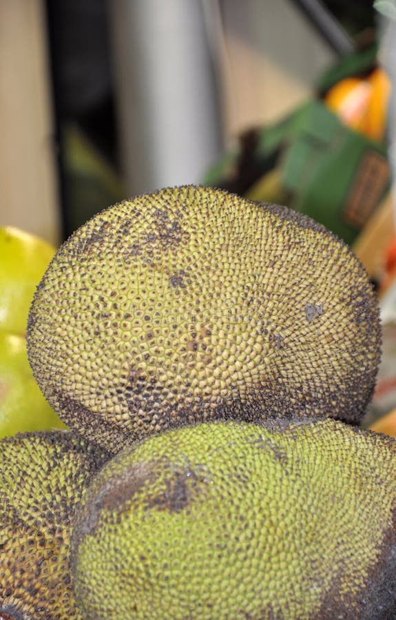 Jaca, Brazilian Exotic Fruit Stock Image - Image of jaca, brazil: 138322877