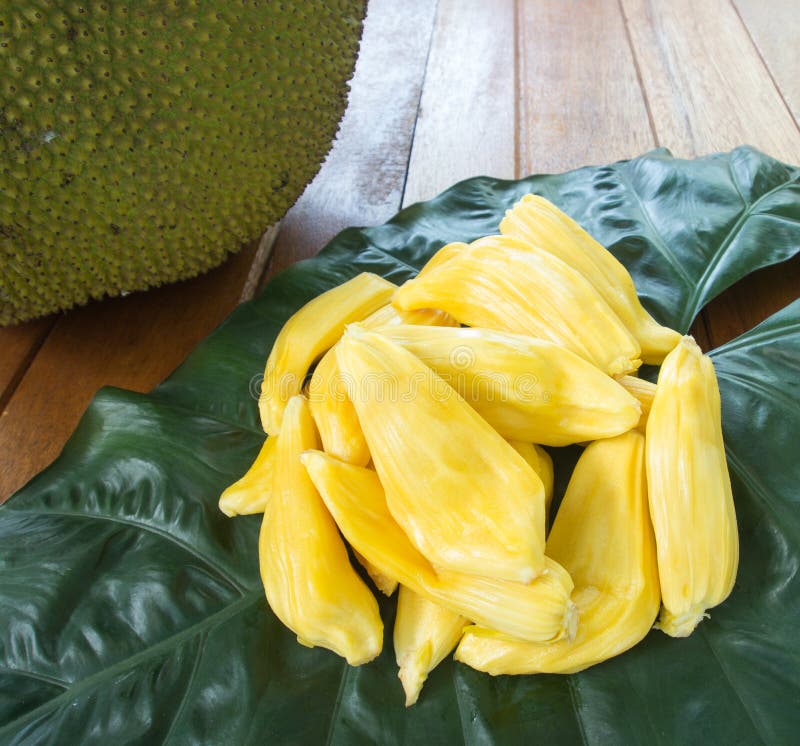 Jackfruit stock image. Image of texture, stem, detail - 47802243