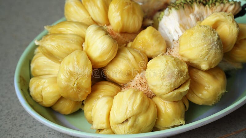 Jackfruit on plate stock photo. Image of tree, fresh - 121021018