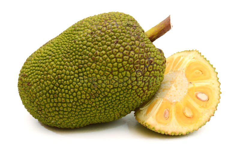 Nangka Stock Illustrations – 34 Nangka Stock Illustrations, Vectors ...