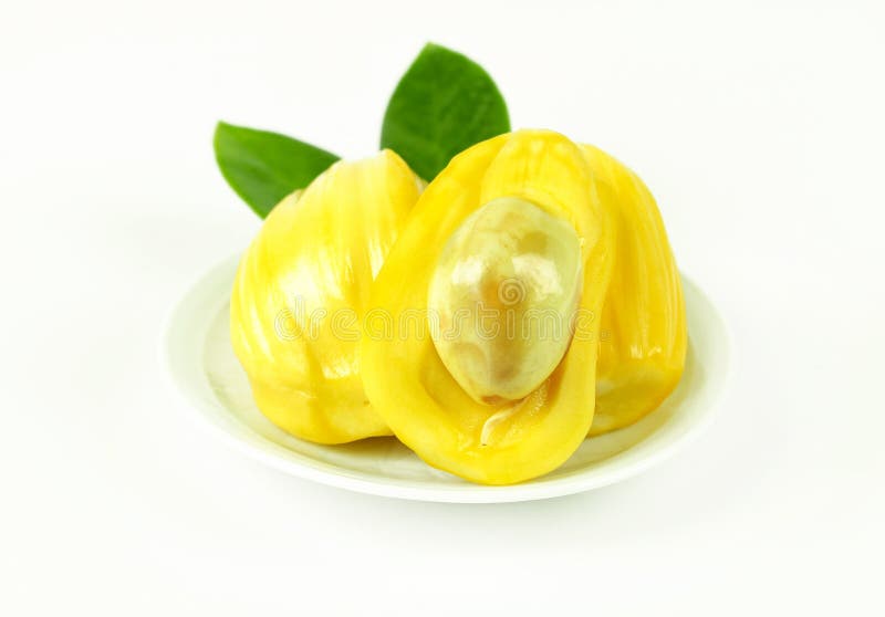 Jackfruit and Seed Isolated Stock Photo - Image of kanun, jackfruit ...