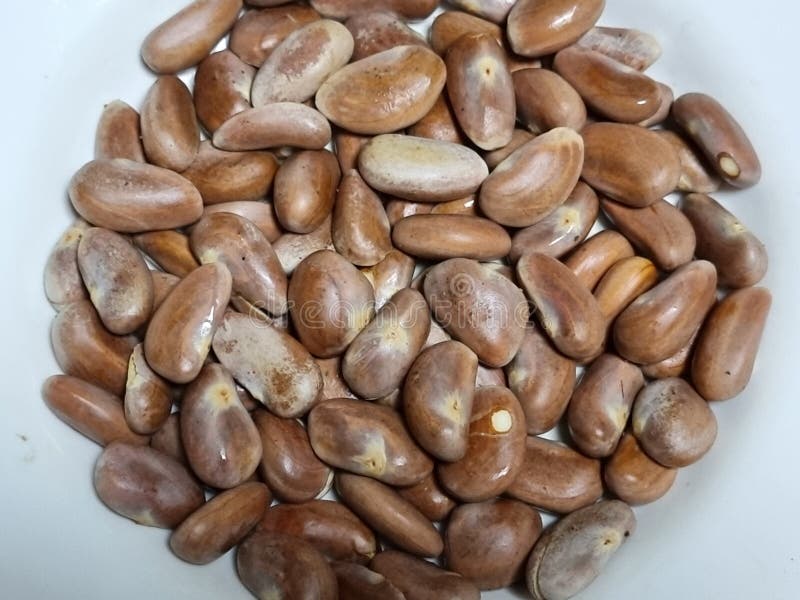 Jackfruit Seeds Background Image Stock Photo - Image of family ...