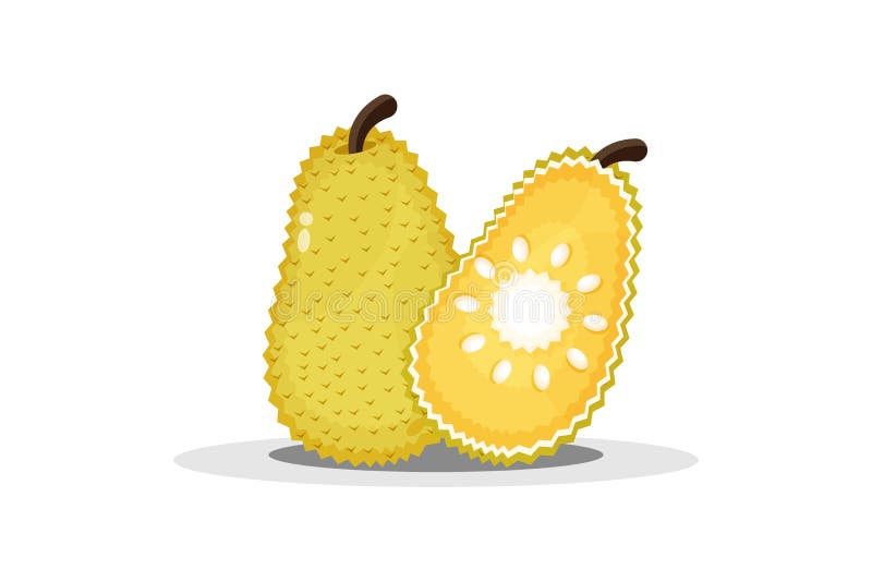 Kathal Stock Illustrations – 21 Kathal Stock Illustrations, Vectors ...