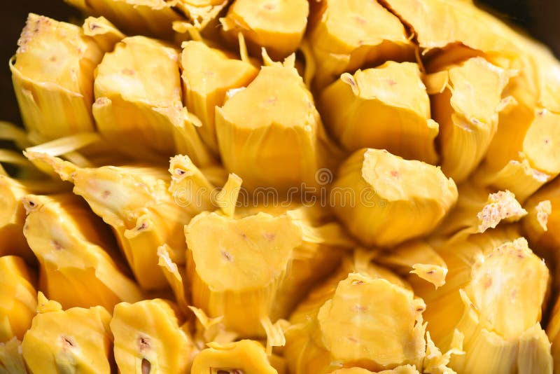 Jackfruit on Top View, Close Up Ripe Jackfruit Peeled Tropical Fruit ...